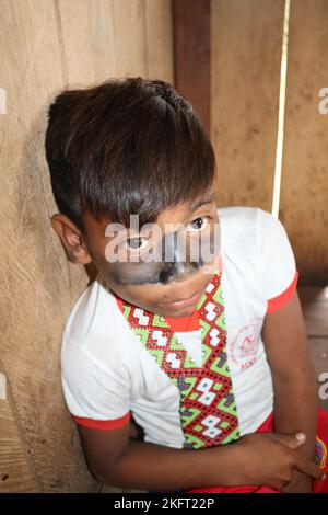 Indigenous people, boy of the indigenous people Huni Kuin working in ...