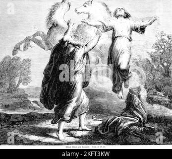 The carriage goes with the horses Stock Photo - Alamy