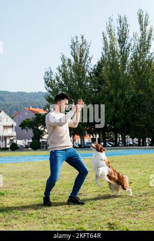 Full body of male owner and Border Collie running together on green ...