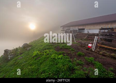 Clouds of fog drift under a clearing sky after a summer lightning storm ...