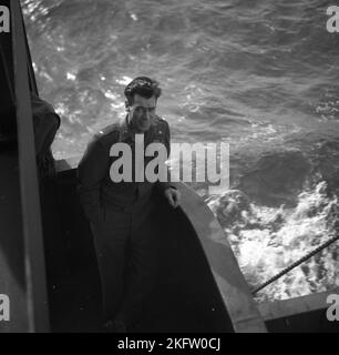 United States Army veterans coming home on the Elgin Victory ship at ...