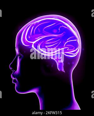 Neurology, philosophy: connections, the development of thought and ...