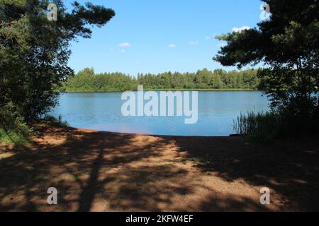 Forest by Ore river in Orsa, Sweden on a sunny summer day Stock Photo ...