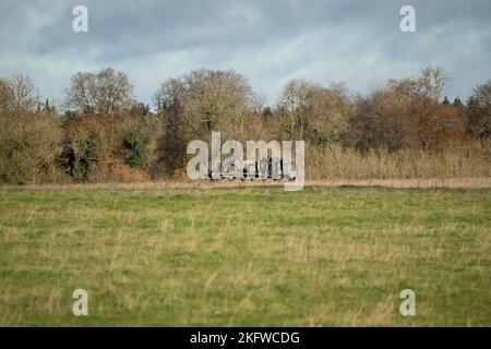 British army MAN HX77 8x8 logistics truck with armed rooftop soldier in ...