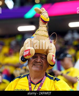An Ecuador fan ahead of the FIFA World Cup Group E match at Kansas City ...