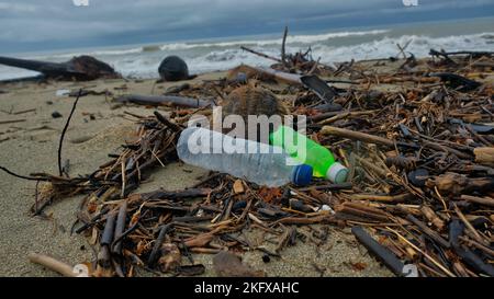 Plastic pollution is a serious matter.Some plastics are dumped from ...