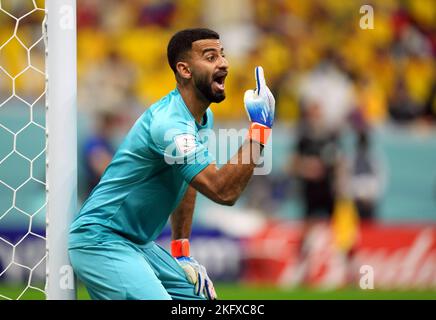 AL KHOR - Qatar goalkeeper Saad Al Sheeb during the FIFA World Cup ...