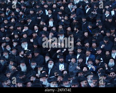 NEW YORK, N.Y. – November 8, 2022: Congressional candidate Dan Goldman ...