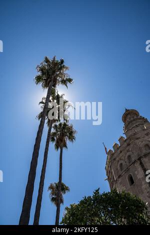 A vertical low angle shot of Torre del Gombito landmark and nearby ...