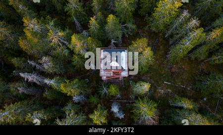 An aerial of a deep forest and a fire lookout tower surrounded by green ...