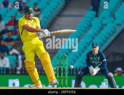 Marcus Stoinis of the Australian cricket team during a training session ...