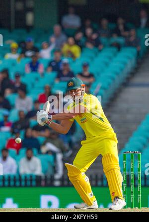 Marcus Stoinis of the Australian cricket team during a training session ...