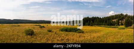 Little Firehole River and Meadows, Yellowstone National Park; Wyoming ...
