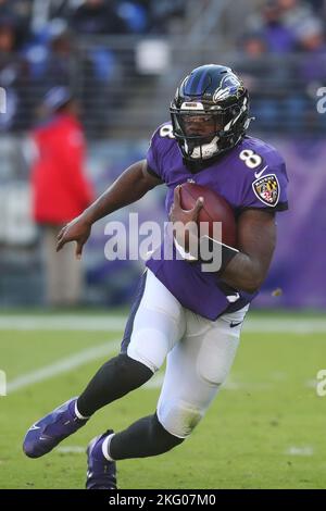 Baltimore, MD, USA. 20th Nov, 2022. Baltimore Ravens P Jordan Stout (11 ...