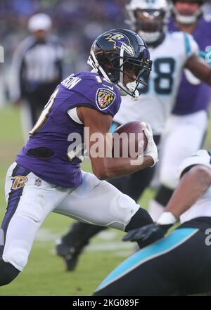 Baltimore, MD, USA. 20th Nov, 2022. Baltimore Ravens P Jordan Stout (11 ...
