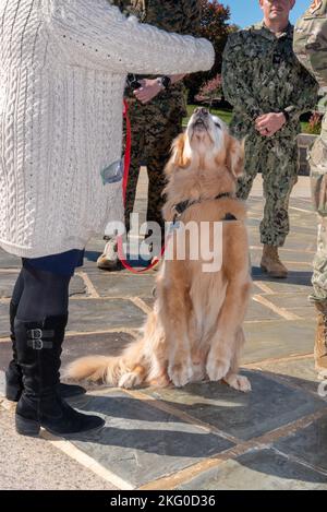 A promotion and commissioning ceremony for the Facility Dog Program at ...