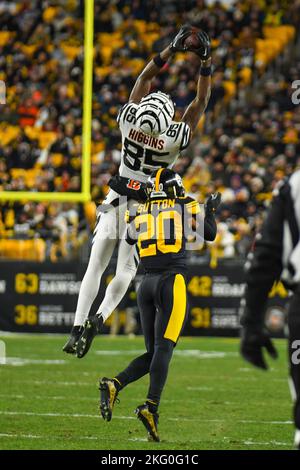 Cincinnati Bengals wide receiver Tee Higgins celebrates a touchdown ...
