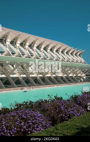 An oceanographic aquarium building in Valencia Stock Photo - Alamy