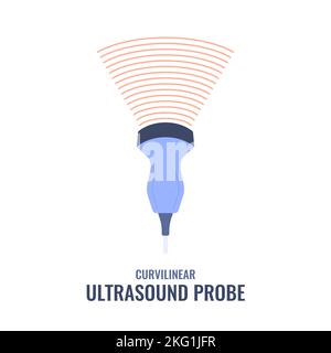 Linear ultrasound probe transducer sonography diagram illustration ...