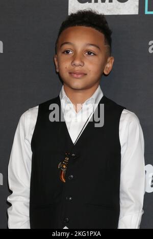 LOS ANGELES - NOV 20: Antony Azor at The Walking Dead Finale at Orpheum ...