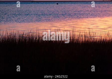 Sunrise looking out towards Watts Bay, Atlantic, Virginia, United ...