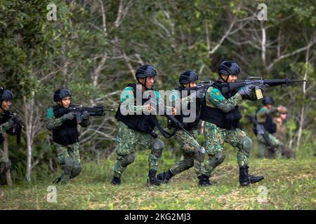 A Royal Brunei Land Force (RBLF) soldier with 2nd Battalion, RBLF ...