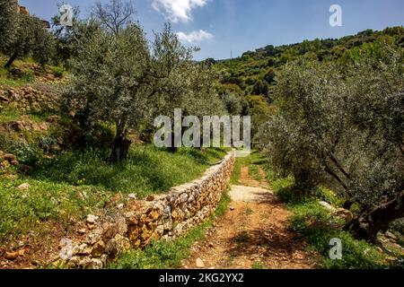 Landscape in Houmal, Lebanon Stock Photo - Alamy