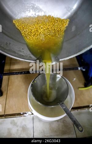 Cooperative of women making humus in Ferzol, Beqaa, Lebanon Stock Photo ...