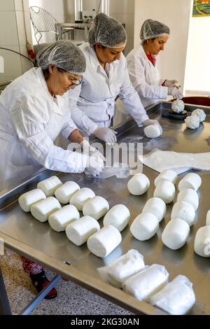 Dairy product cooperative in Aita el-Fekha, Bekaa, Lebanon. Making ...