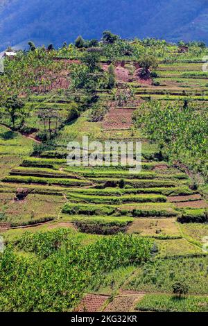 Northern Rwanda landscape Stock Photo - Alamy