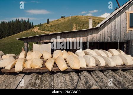 Cheese products from Ukrainian mountain farm village Stock Photo - Alamy