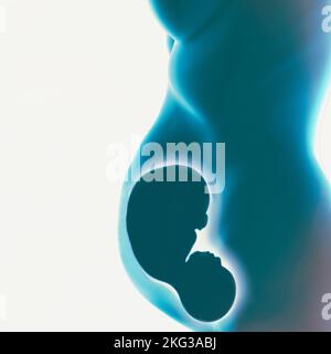 Growth of the fetus, umbilical cord, nourishment and energy for the ...