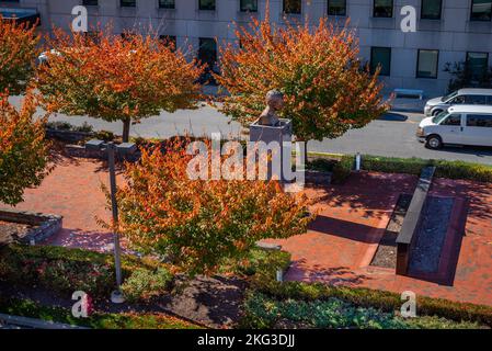 Fall foliage photos taken around Walter Reed National Military Medical ...
