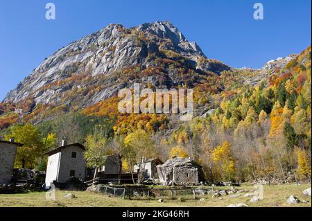 Europe, Italy, Lombardy, Valtellina, Val di Mello, S. Martino, foliage ...