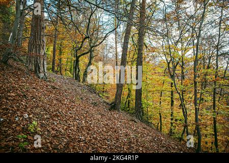 Strazov mountains, Slovak republic. Seasonal natural scene. Travel ...