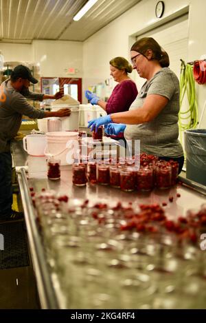 Female workers in cherry processing plant, filling glass jars with ...