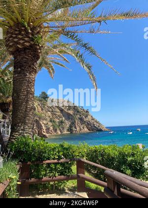 A vertical shot of a beach in Costa Rica Stock Photo - Alamy