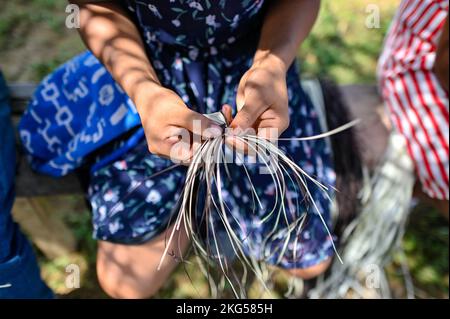 Zenu Indigenous weaving the iconic Colombian Sombrero Vueltiao Stock ...