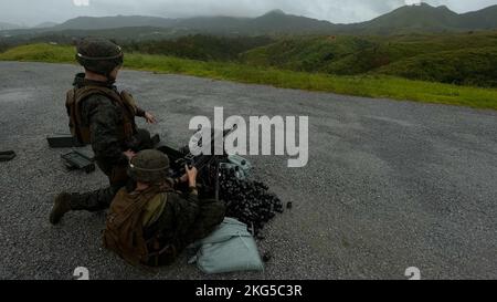 Marine Corps machine gunner fires an M60 machine gun from an AMTRAC ...