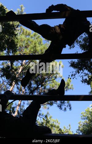 U.S. Soldiers navigate the "Weaver" at the All-American Mile obstacle ...