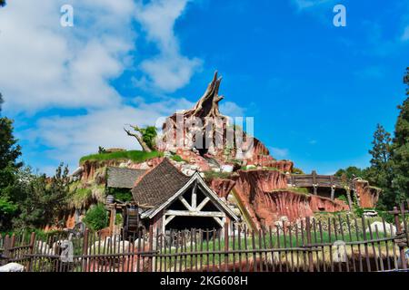 Disney Ride Rides, Splash Mountain, Roller Coaster, Disney World Resort ...