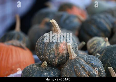 Squash and pumpkins on display at a the Union Square in New York, New ...