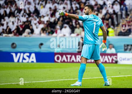 AL KHOR - Qatar goalkeeper Saad Al Sheeb during the FIFA World Cup ...