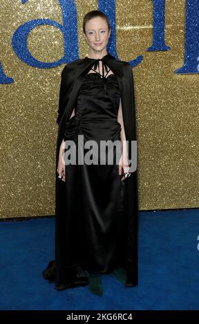 Nov 21, 2022 - London, England, UK - Stephen Mangan attending Roald ...