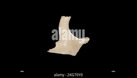 Posterior view of Right Zygomatic Bone Stock Photo - Alamy
