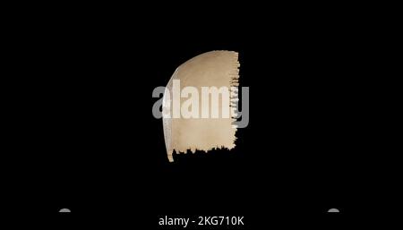 Posterior view of Right Parietal Bone Stock Photo - Alamy