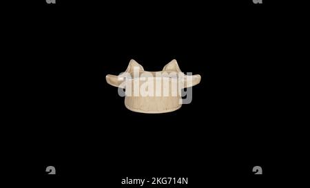Third Lumbar Vertebra Stock Photo - Alamy