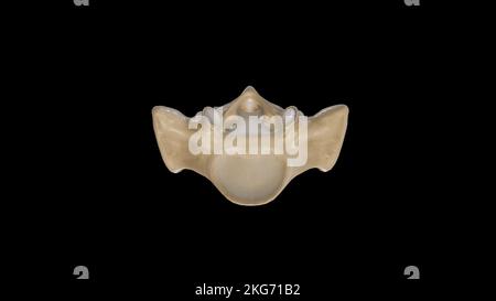 Lateral view of male pelvis, hip, and leg bones on a black background ...