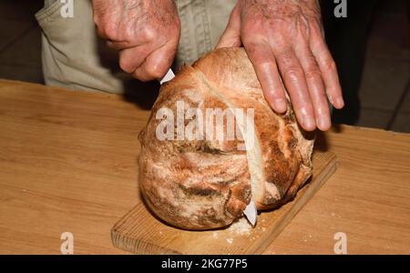 Hands of man breaking slice of bread from loaf in the forest Stock ...