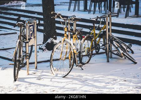 Old bikes tied with a chain and lockers covered by the snow in winter ...